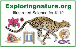 Science and Nature Education Website – Growing With Science Blog