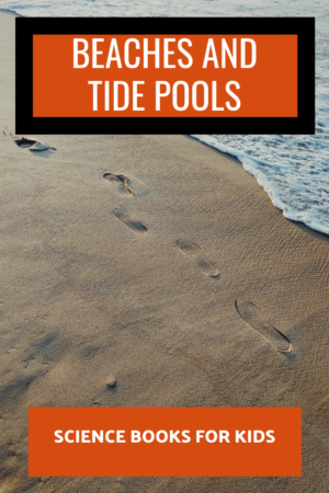 Beaches-and-Tide-Pools – Growing With Science Blog